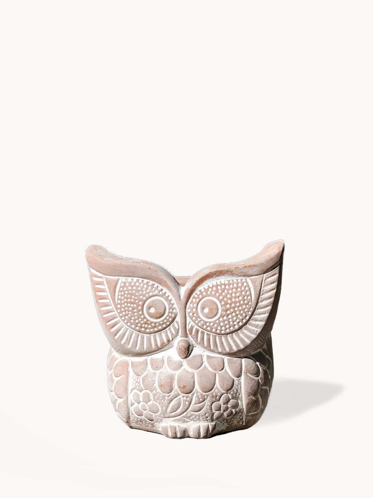 Terracotta Pot - Big Eye Owl – Kate's Potted Creations
