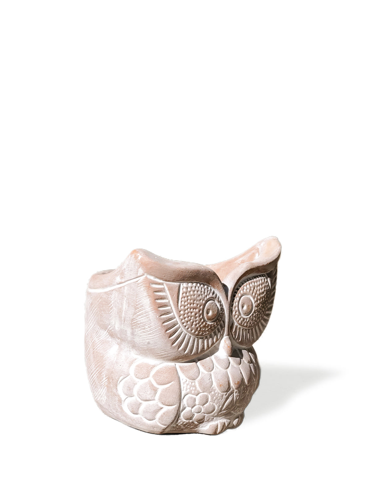 Terracotta Pot - Big Eye Owl – Kate's Potted Creations